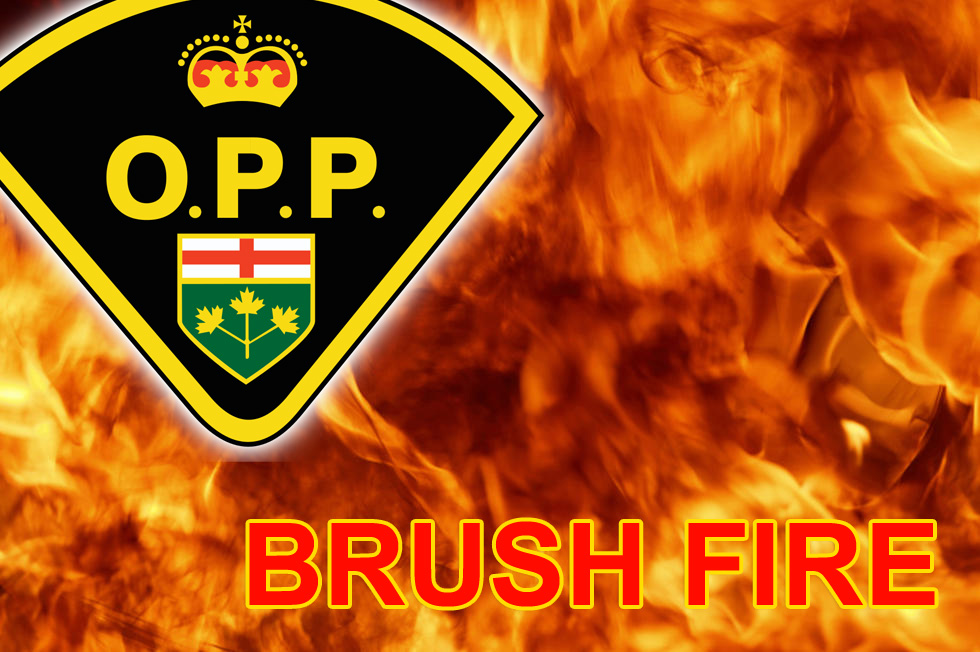 Grenville OPP Investigating Brush Fire in Roebuck - Hometown TV12 ...
